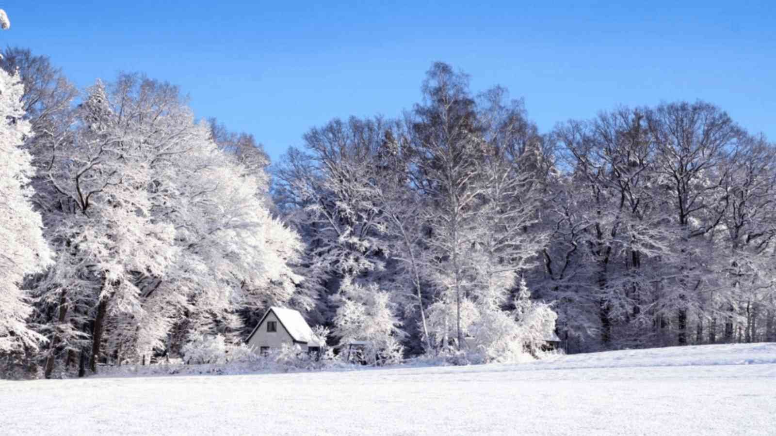 Hell is Freezing Over Day 2023: Date, History, Freezing Facts - Eduvast.com