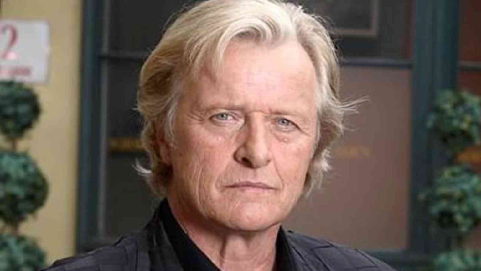 Rutger Hauer Biography: Age, Wiki, Birthday, Family, Net Worth ...