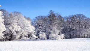 World Snow Day 2023: Importance and all about this day - Eduvast.com