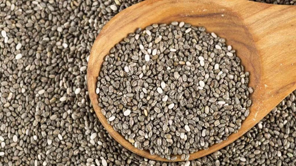 National Chia Day 2023: Date, History, Facts about Chia seeds - Eduvast.com