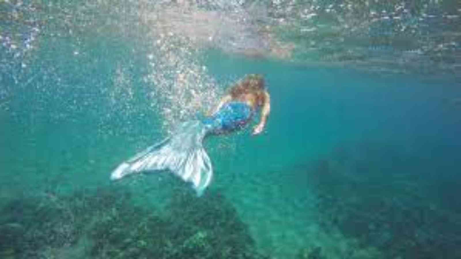 Mermaid Day 2023: Date, History, Facts, Activities - Eduvast.com