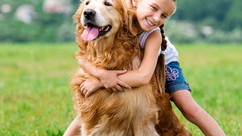 National Hug Your Dog Day 2023: Date, History, Activities - Eduvast.com
