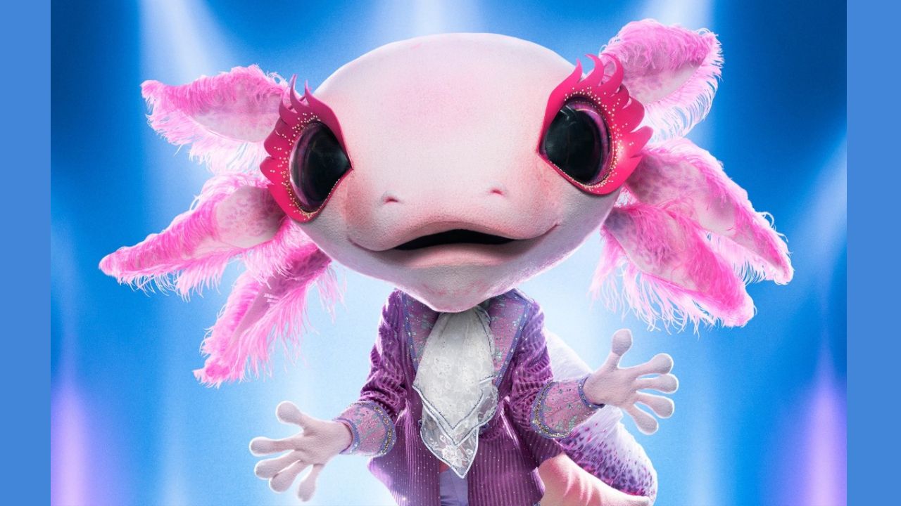 The Masked Singer Season 9 Finale: When to Watch? - Eduvast.com