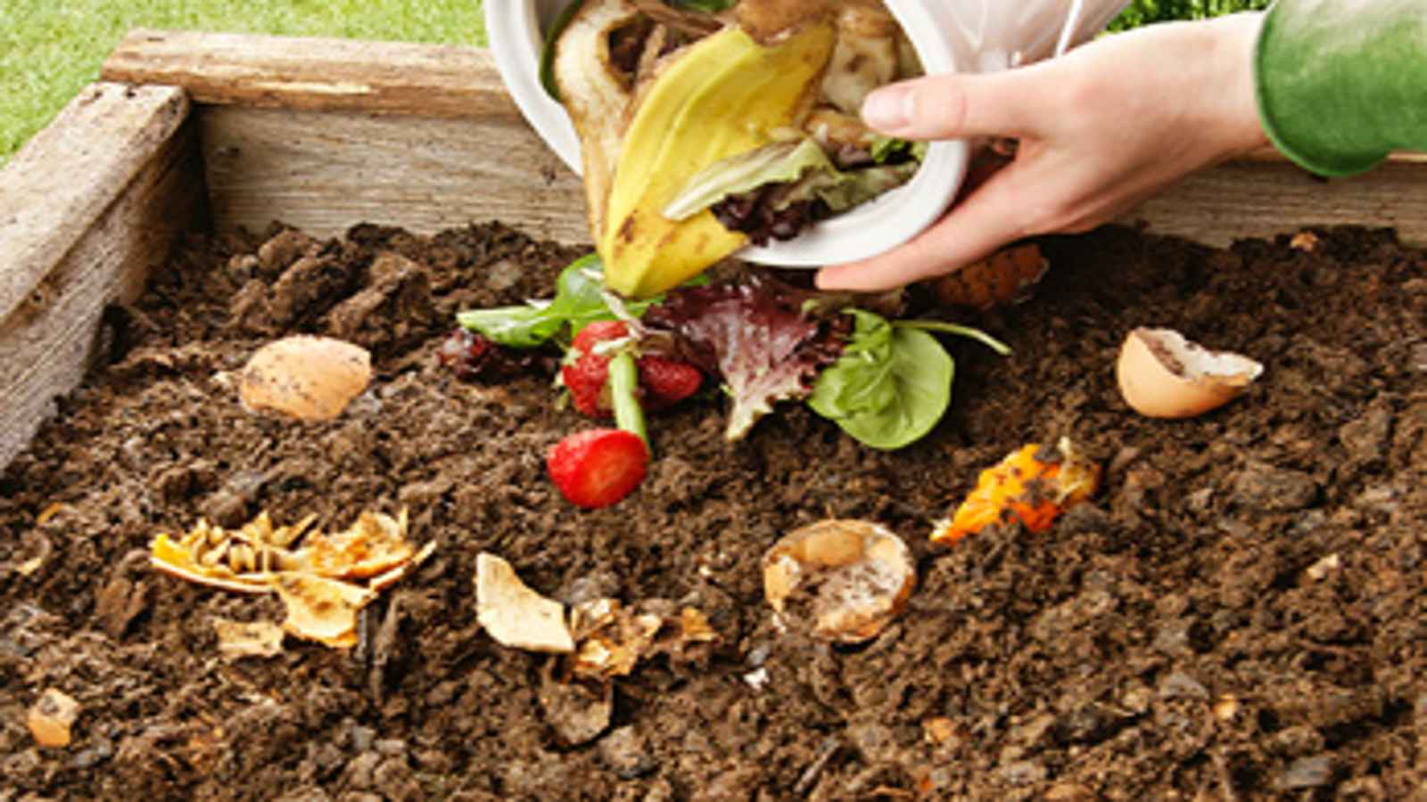 Learn About Composting Day 2023: Date, History, How to Recognise and ...