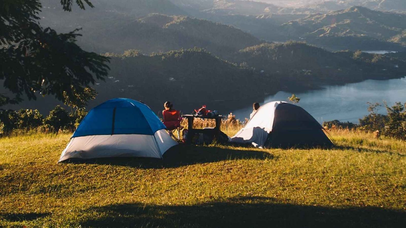 National Camp Counts Day 2023: Date, History, Facts, Activities ...