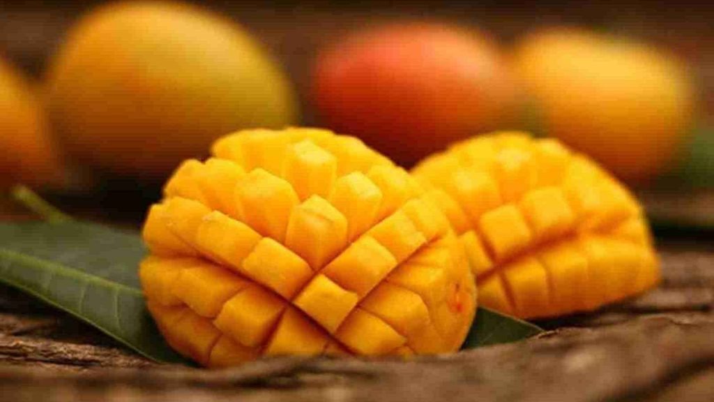Mango Day in U.S. 2023: Date, History, Facts about Mango - Eduvast.com
