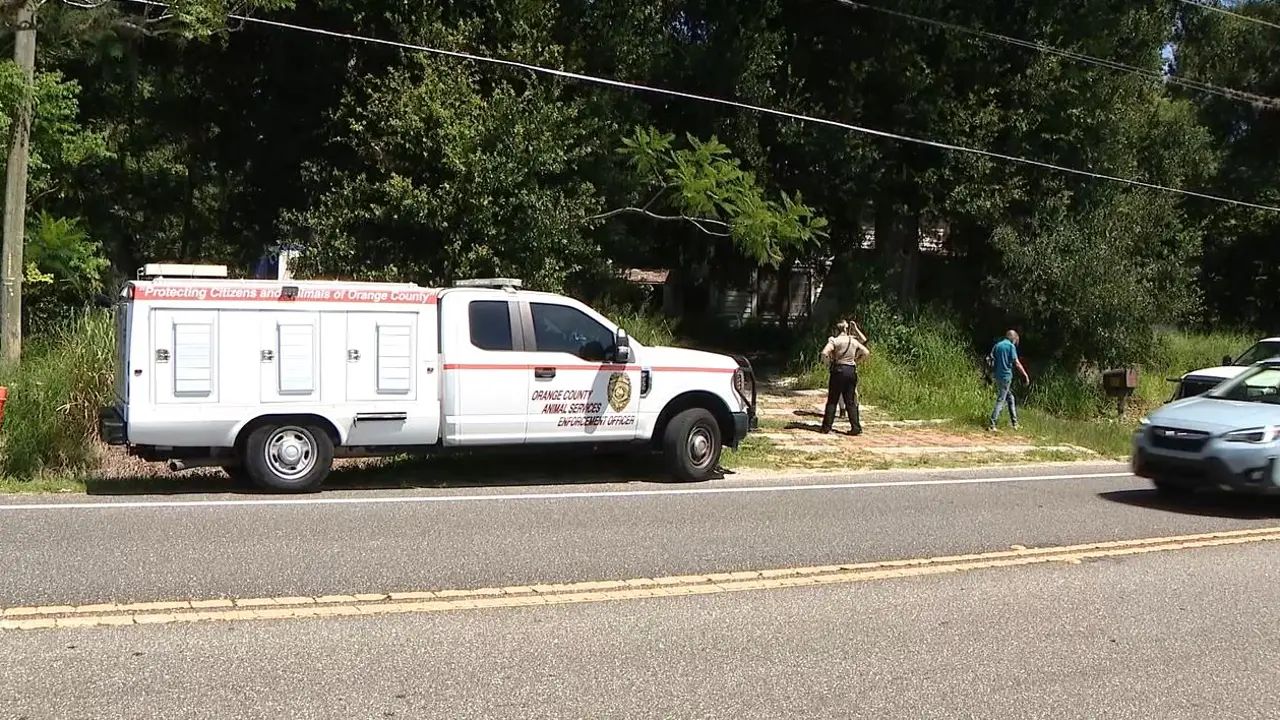 Orange County Deputies Find 32 Dogs in Deplorable Conditions, 1 Fatally ...