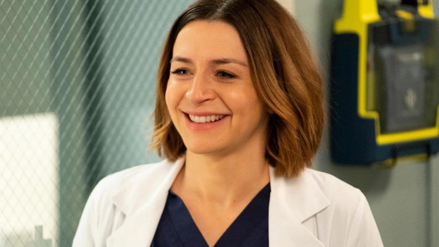 Who Is Amelia Shepherd: The Story of Amelia Shepherd - Eduvast.com