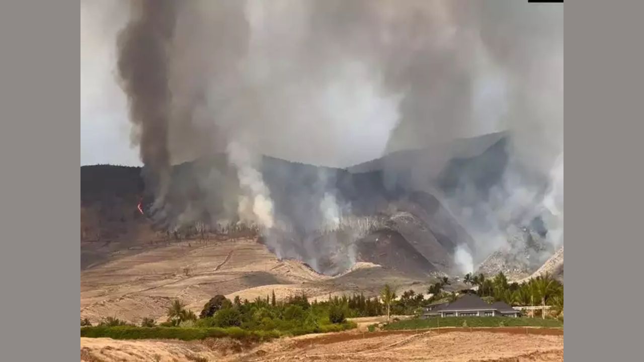 Maui Fires: Investigating the Origins of the Blaze - Eduvast.com