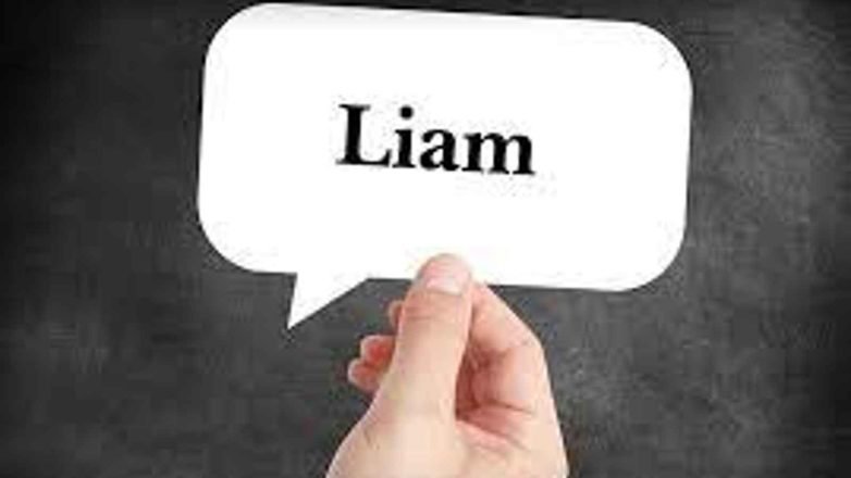 National Liam Day 2023: Date, History, Facts, Events - Eduvast.com