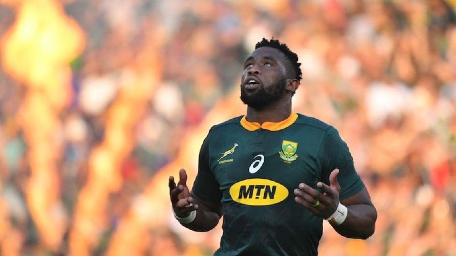 Where Does Siya Kolisi Live Now? His Background, Family, Career, and ...