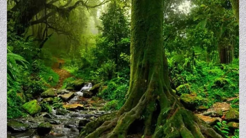 Vision Test: Find the Hidden Chameleon in this Optical Illusion within ...