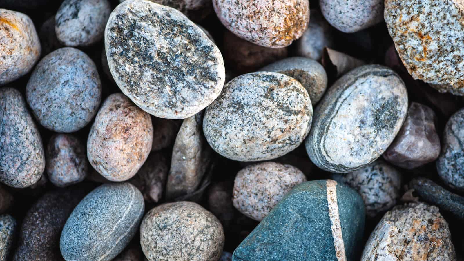 When is National Rock Collecting Day: History of Collect Rocks Day ...