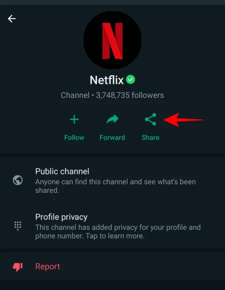 How to Use WhatsApp Channels: Every Thing You Should Know - Eduvast.com