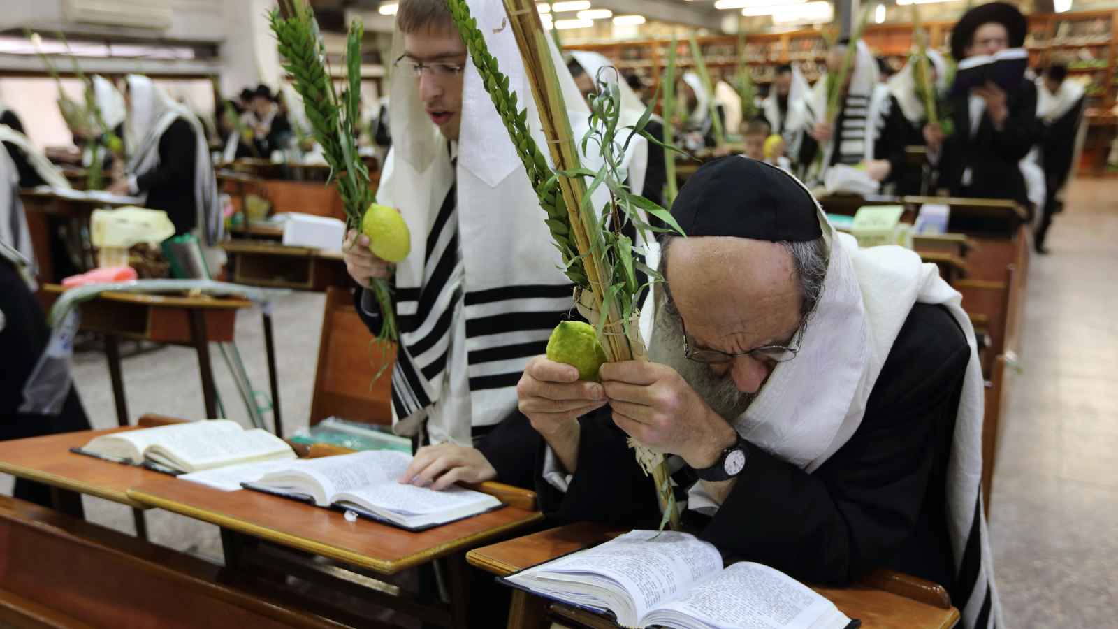Hoshana Rabbah 2023: Date, History, Facts about Sukkah - Eduvast.com Hoshana Rabbah 2023: Date, History, Facts about Sukkah - Eduvast.com