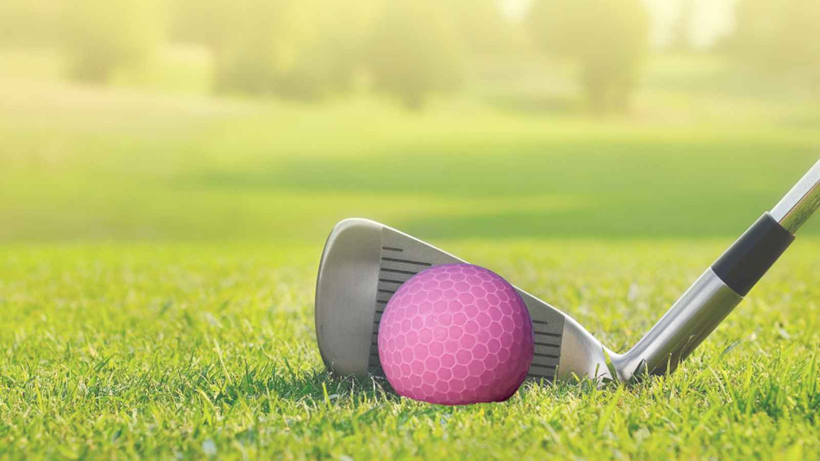 National Golf Lovers Day 2023: Date, History, Facts, Events - Eduvast.com