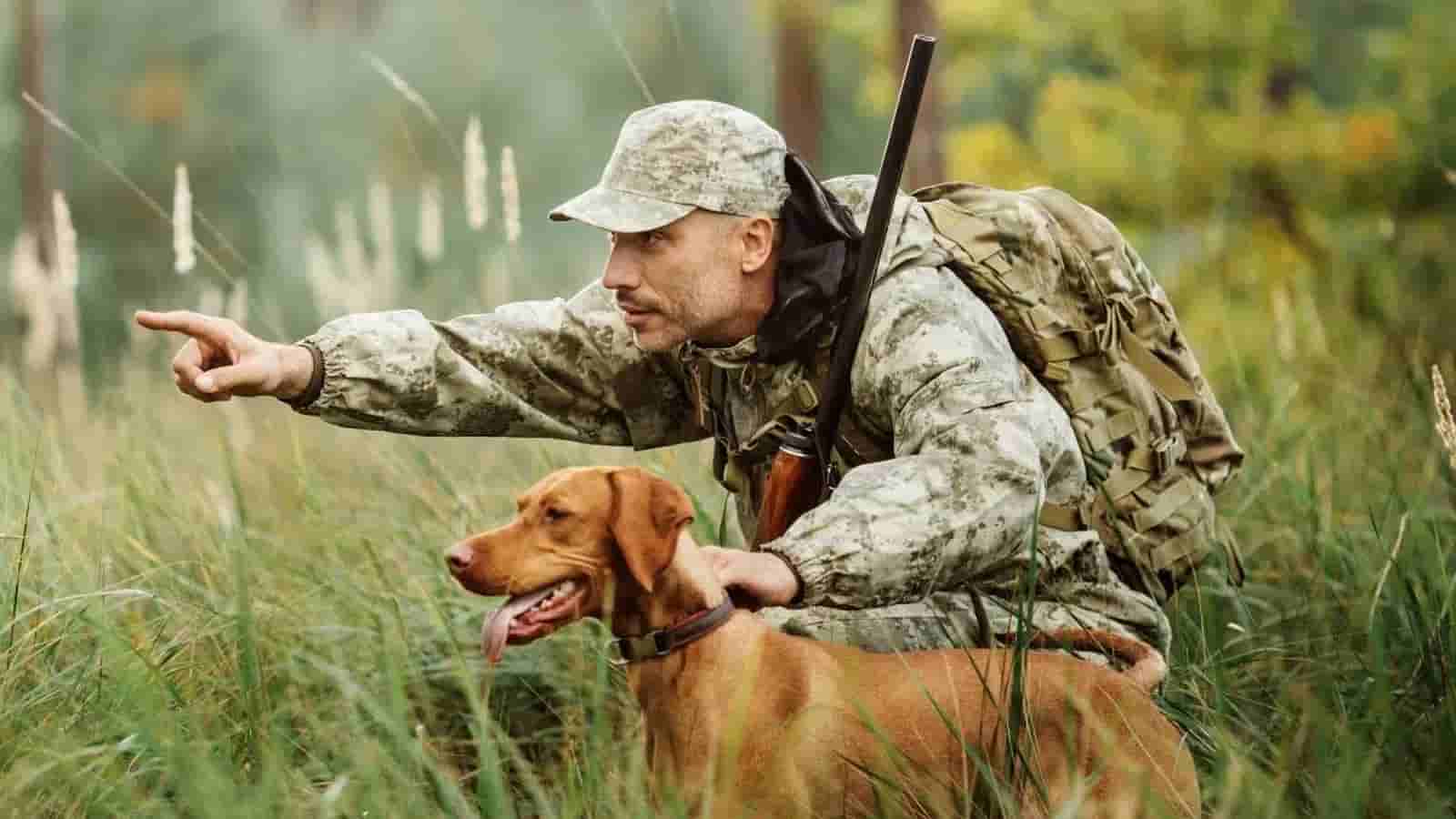 National Saddle Hunting Day Quotes, Wishes And Messages - Eduvast.com