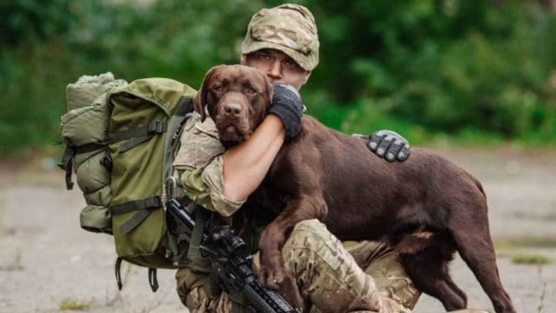 National Pets for Veterans Day 2023: Date, History, Activities ...
