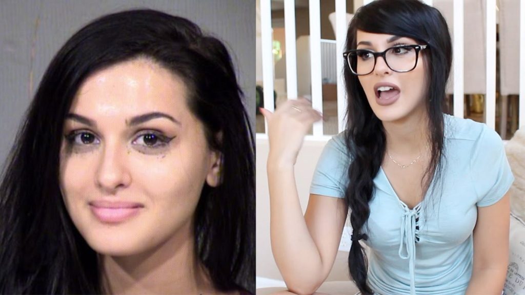 Sssniperwolf Arrested Why Was He Arrested Eduvast