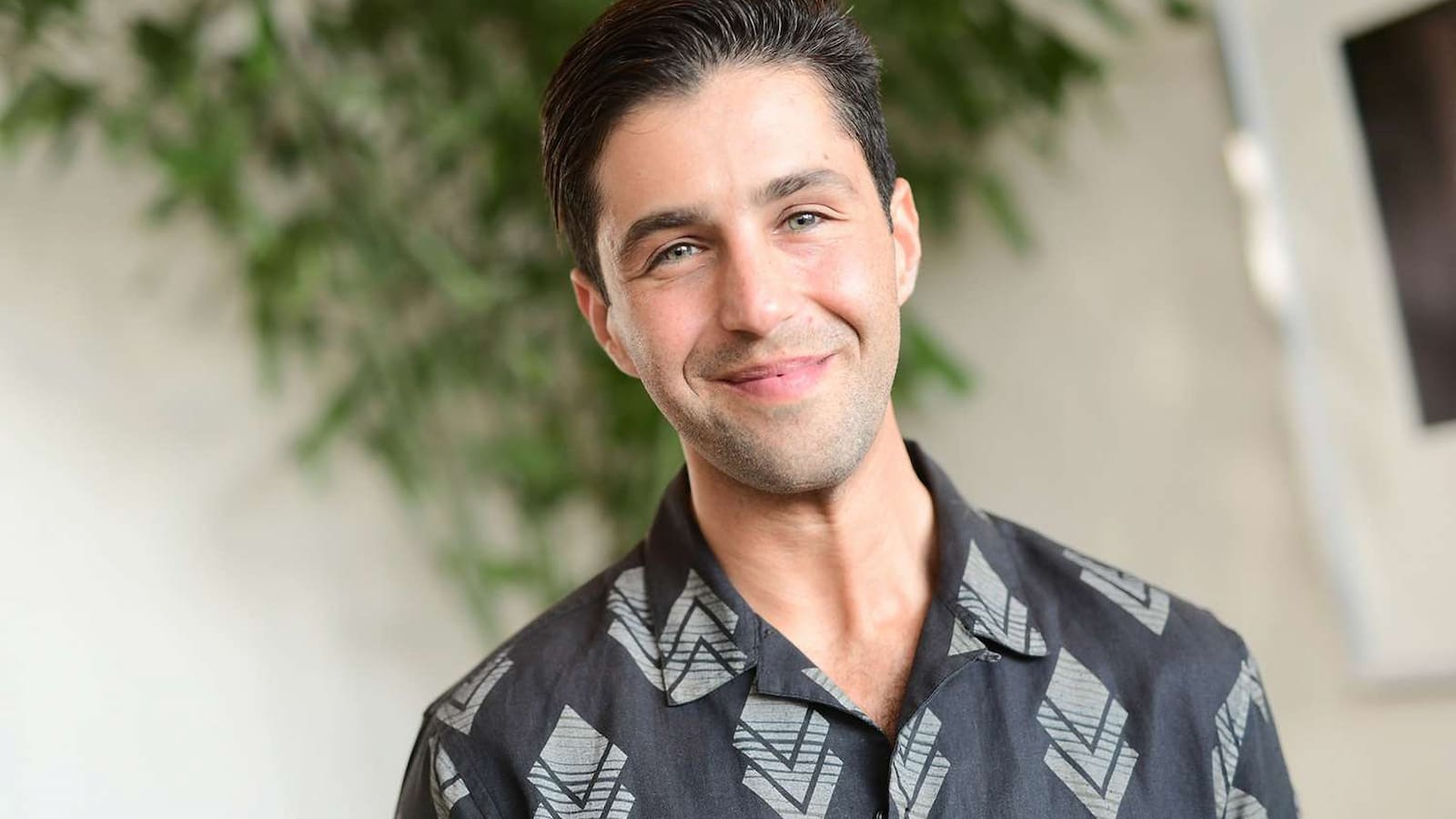 Joshua Michael Peck Biography: Age, Height, Birthday, Career, Family ...