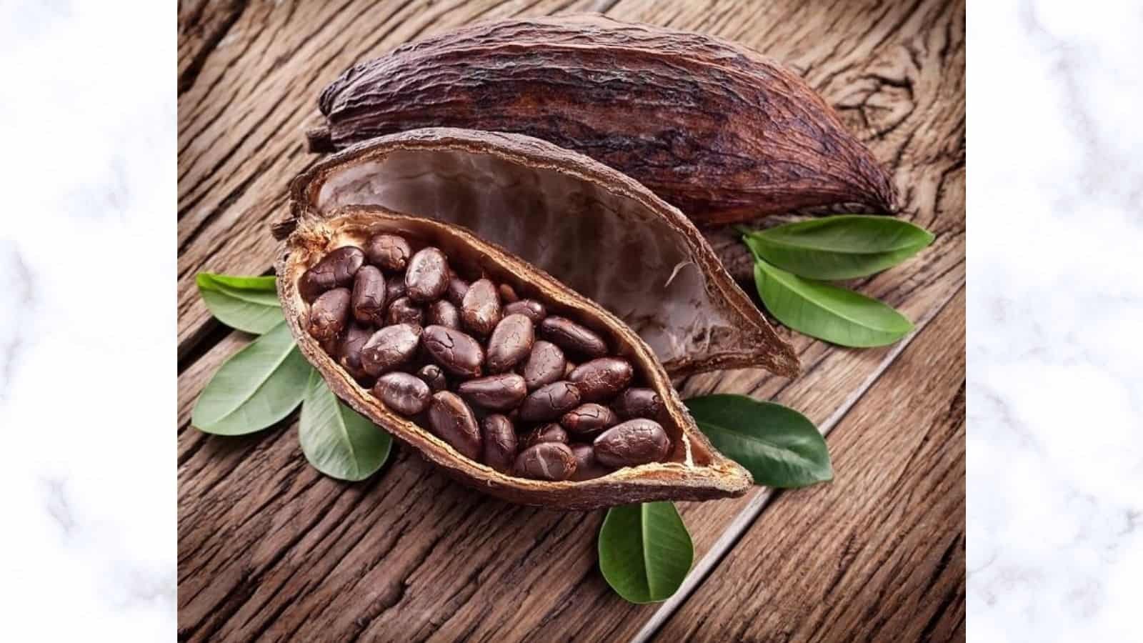 National Cocoa Day 2023: Date, History and 5 Chocolate-Related Facts ...