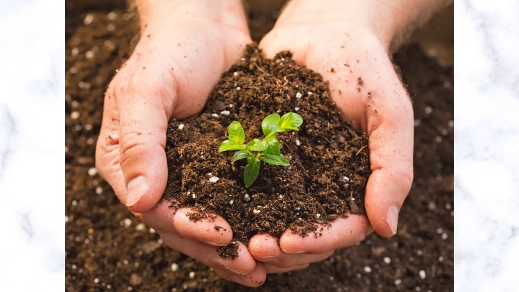 World Soil Day 2023: Date, History and Ways to appreciate it - Eduvast.com