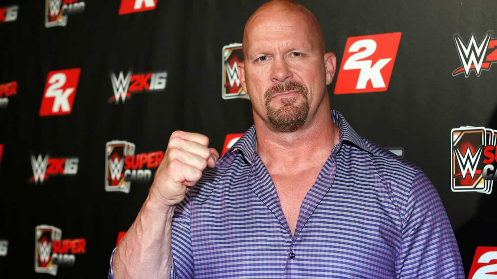 Stone Cold Steve Austin Biography: Age, Height, Birthday, Career ...