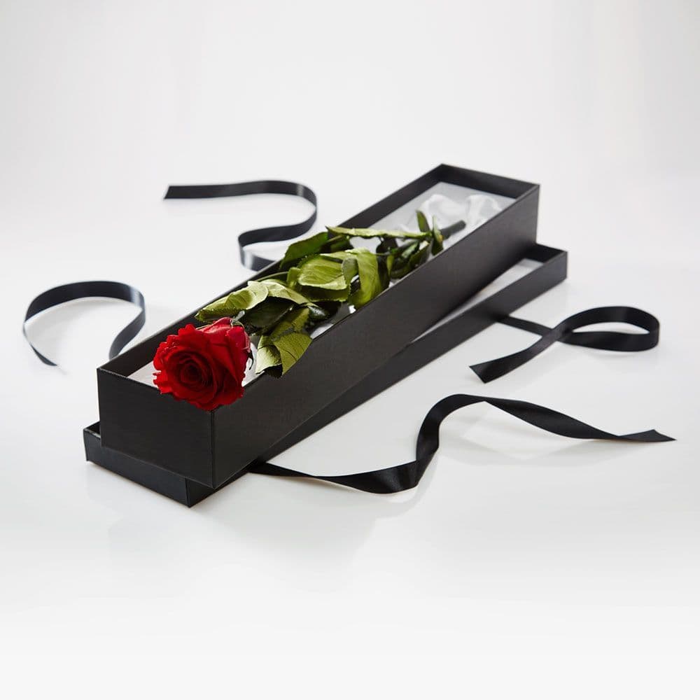 Rose Day Gift Ideas to Surprise Your Loved Ones - Eduvast.com