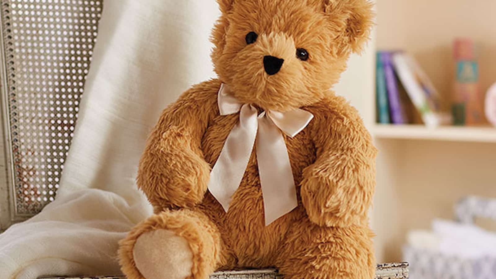 Teddy bear: A heartwarming History and Cultural symbol - Eduvast.com